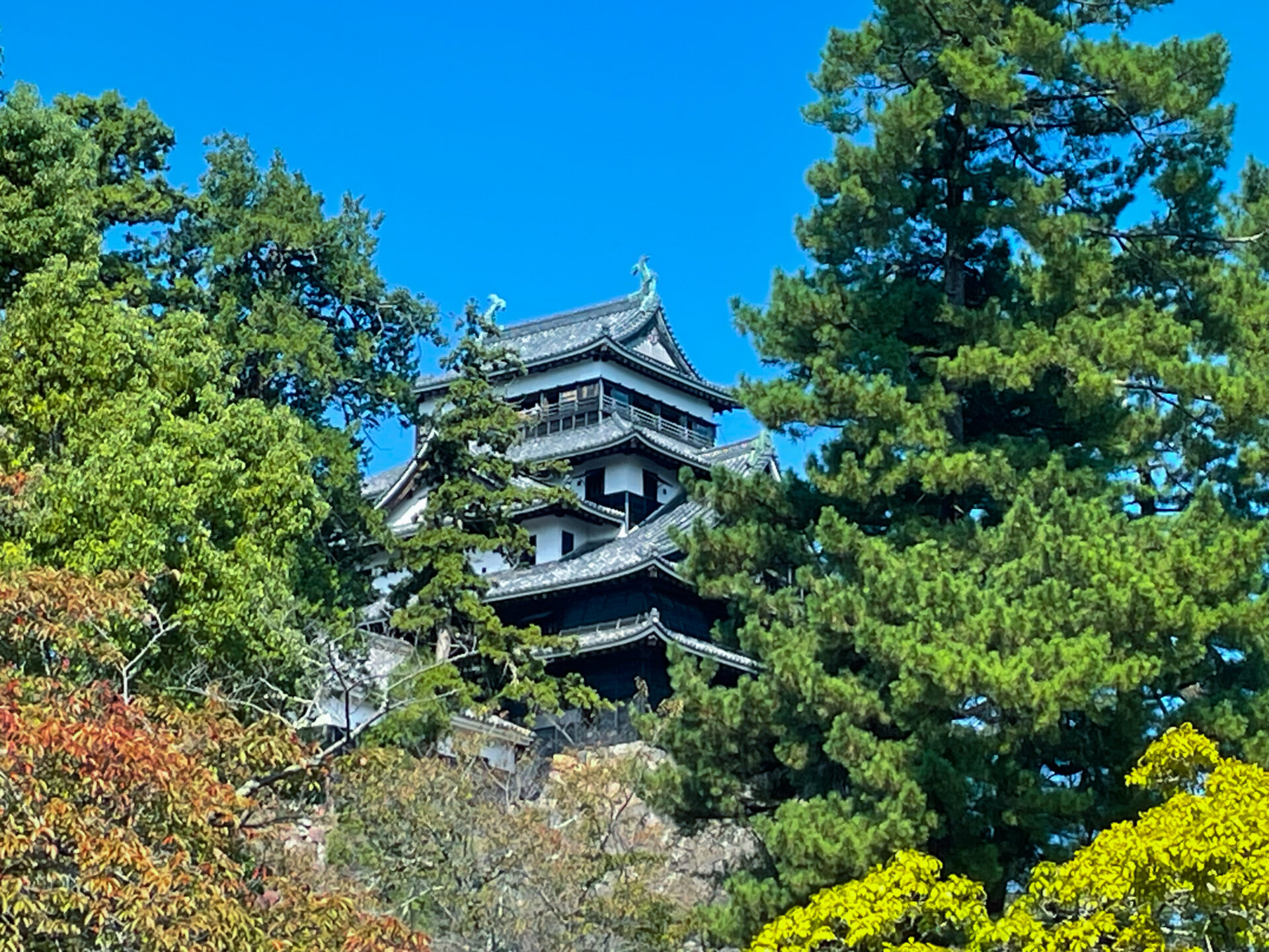 Welcome to Seki – Japan’s Legendary Blade City - Most Japan