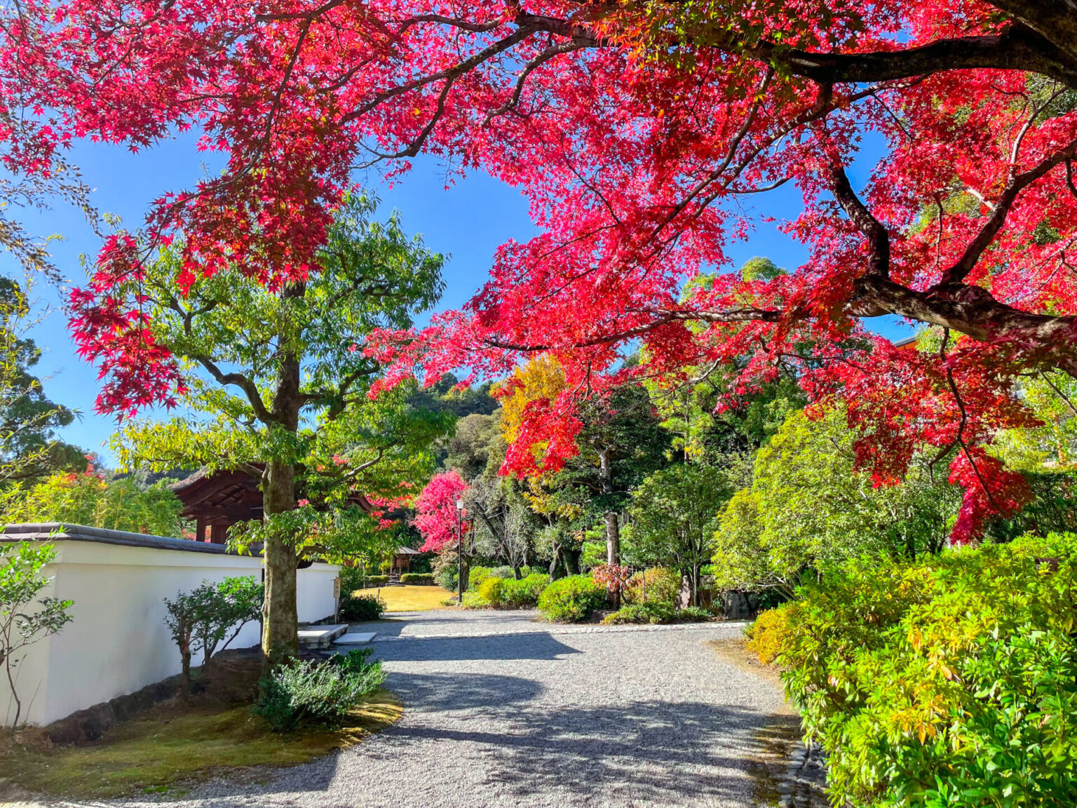 Uraku-en and Jo-an Tea Ceremony House(National Treasure) - MOST JAPAN
