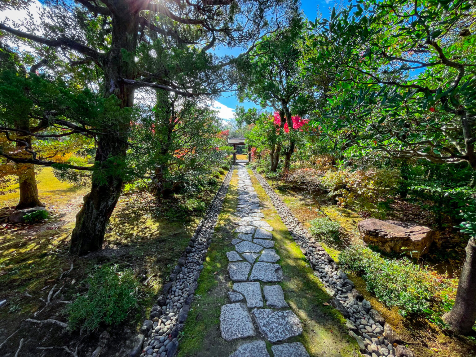 Uraku-en and Jo-an Tea Ceremony House(National Treasure) - Most Japan