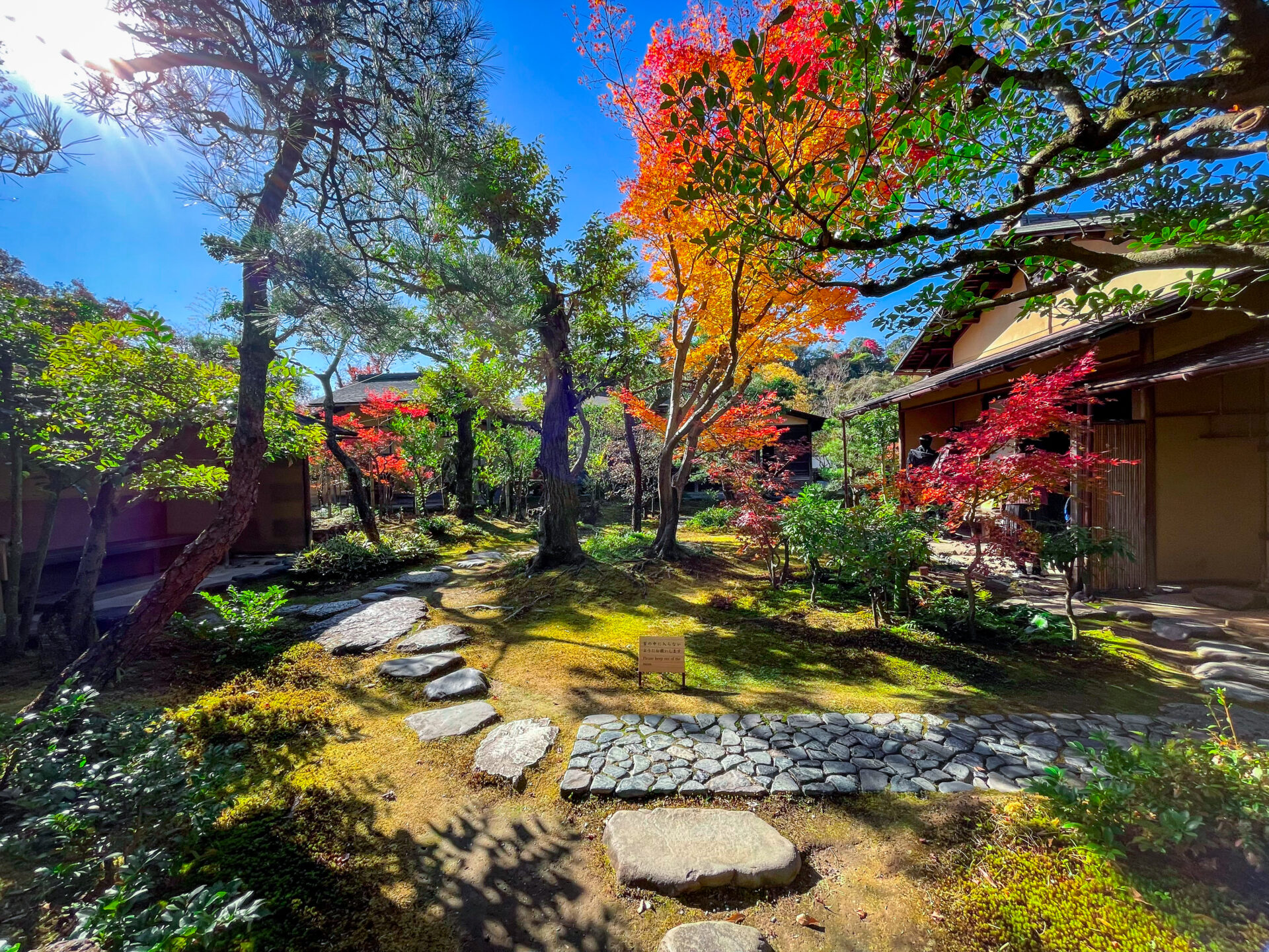 Uraku-en and Jo-an Tea Ceremony House(National Treasure) - Most Japan