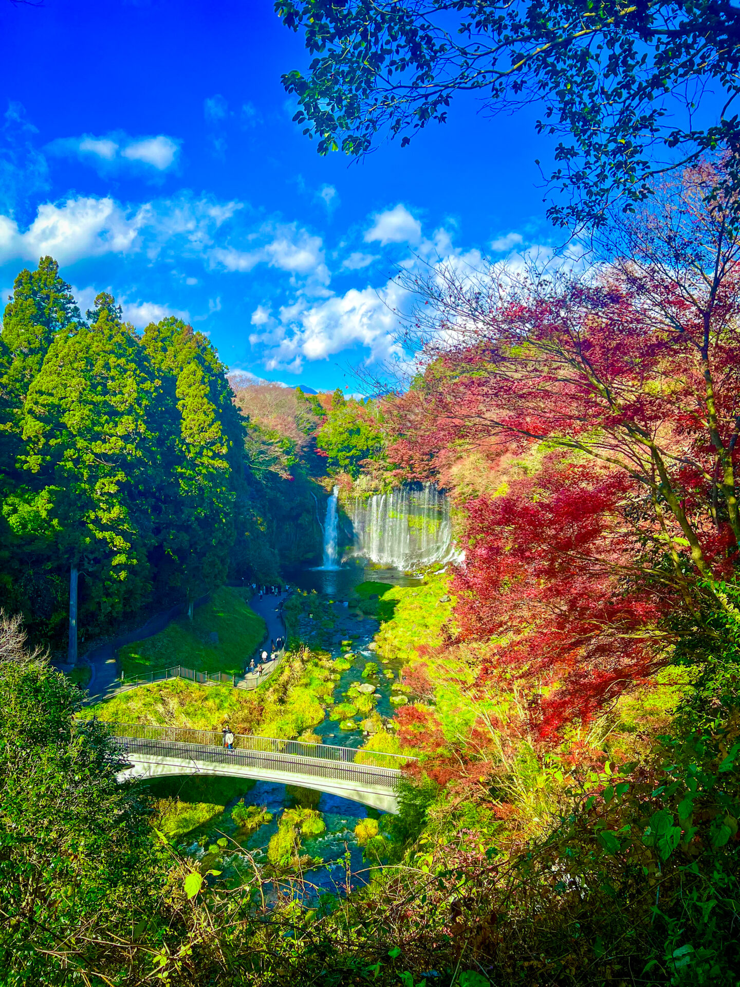 Shiraito Falls near Mt. Fuji - Most Japan