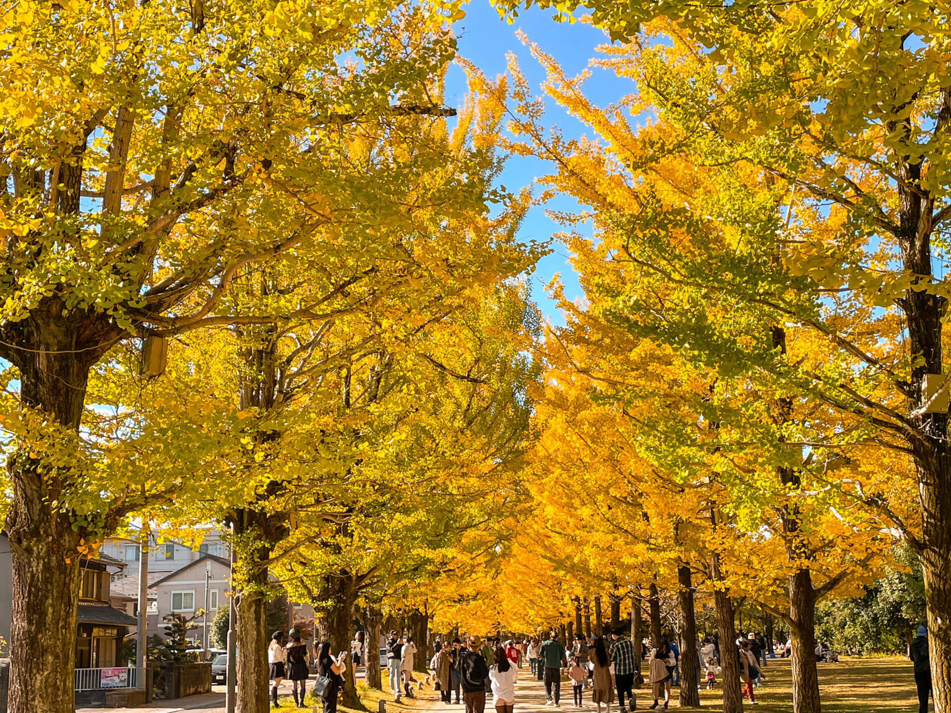 Manabi no Mori (Learning Forest) - Kakamigahara City, Gifu Prefecture ...